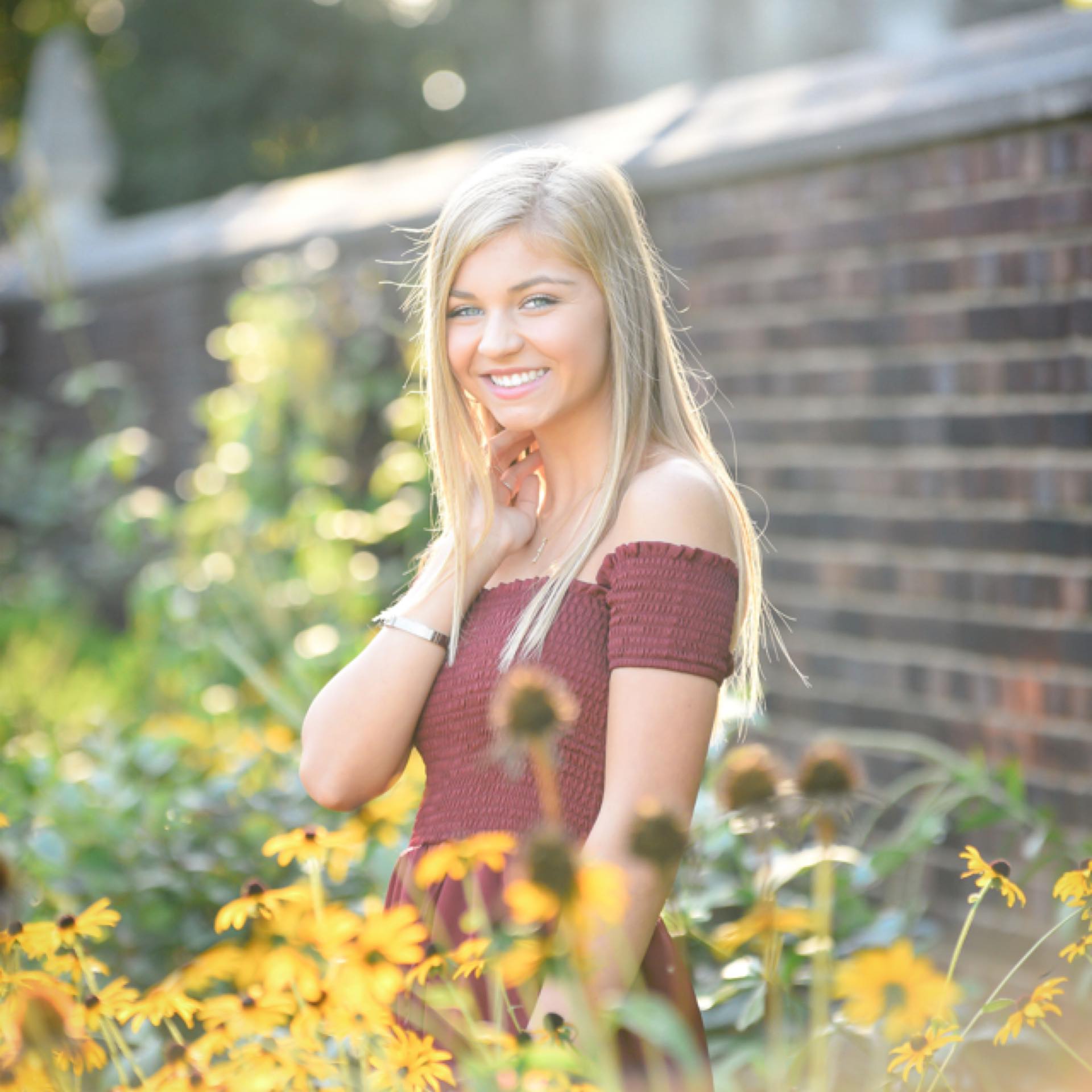 Meadow Twaddle - Christian Harness Horsemen's Association