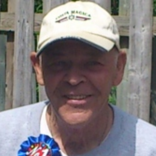 Memorials and Obituaries | Christian Harness Horsemen's Association